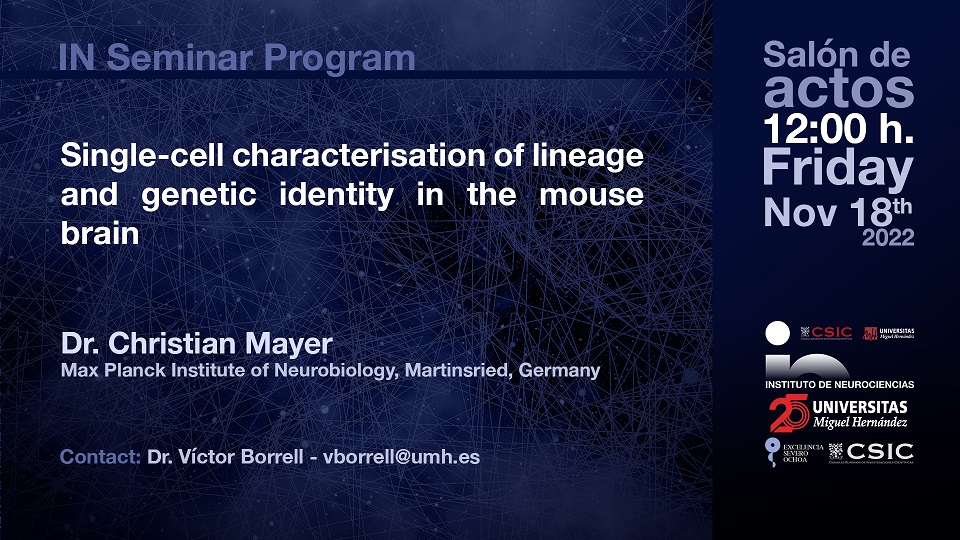 Single-cell characterisation of lineage and genetic identity in the ...