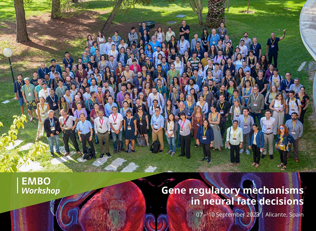 EMBO Workshop “Gene regulatory mechanisms in neural fate decisions” - IN